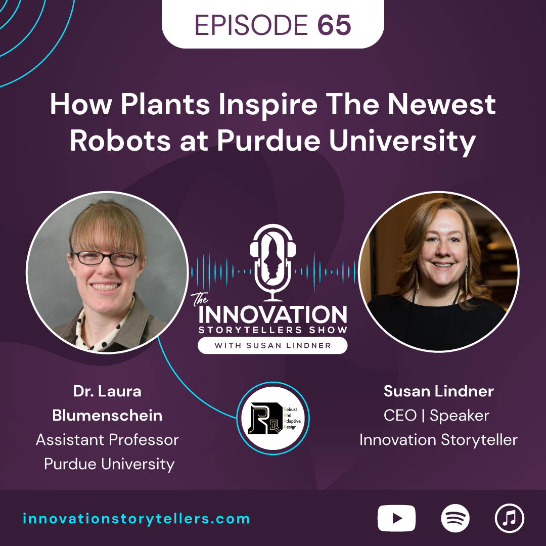 The Innovation Storytellers Show With Susan Lindner | Innovation ...